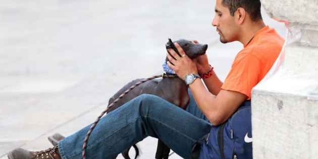 ¿Cuál es el perro que ayuda a cruzar al inframundo? | El Informador