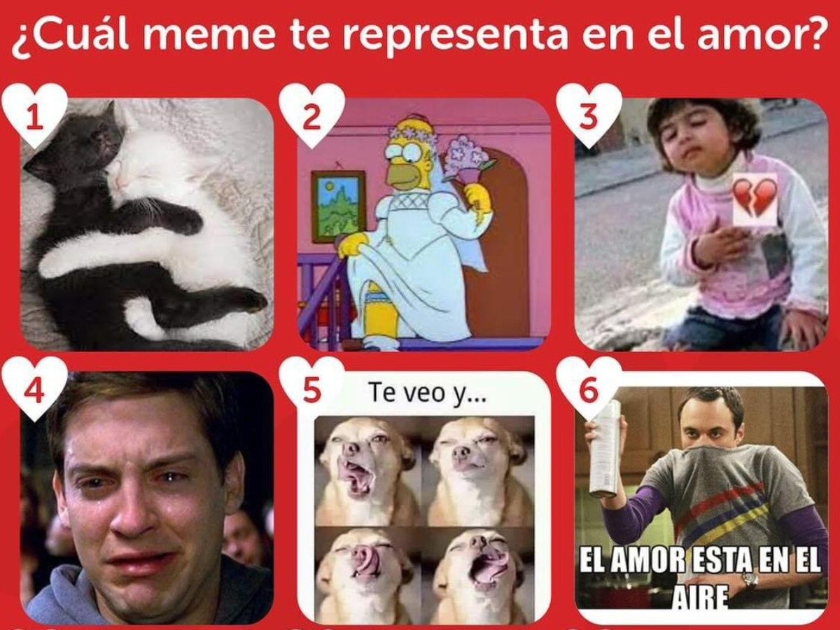 Amor Memes