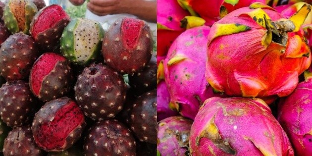 Frutas: Pitaya y pitahaya, ¿cuál es la diferencia entre ellas? | El ...