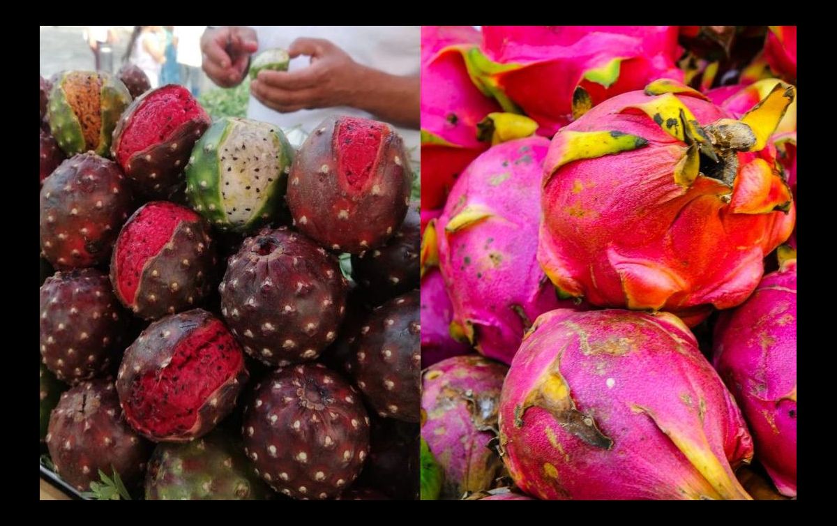 Frutas: Pitaya y pitahaya, ¿cuál es la diferencia entre ellas? | El ...
