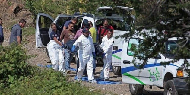 Seguridad en Jalisco: Identifican cuerpo de mujer localizada en Encarnación de Díaz | El Informador