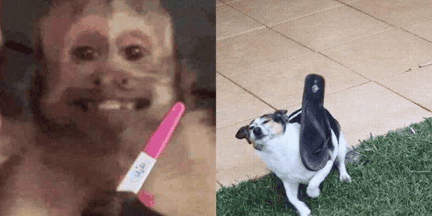 Día de las madres: Estos son los mejores memes del 10 de mayo | El ...