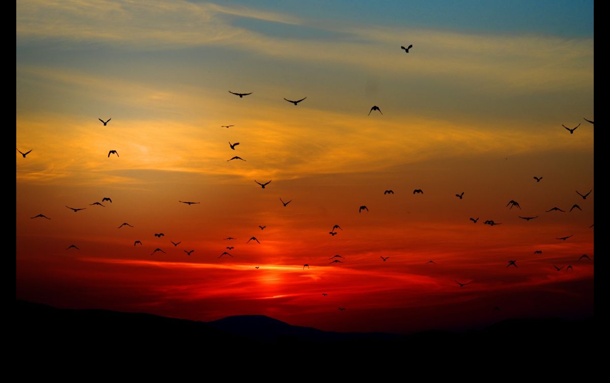 Tormenta solar: Evento Carrington de 1859, la imponente tormenta ...