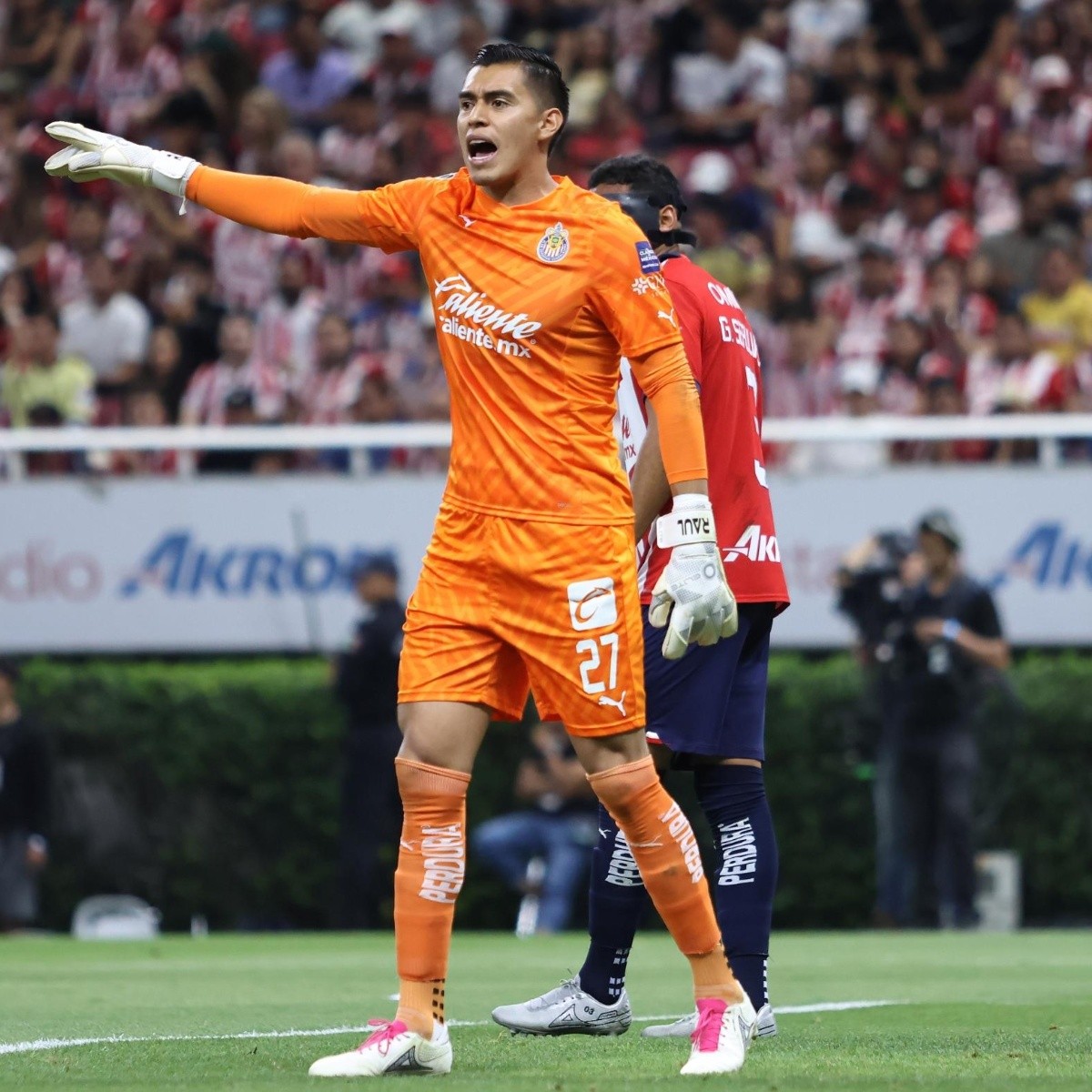 Equipo De Tala Antiguo