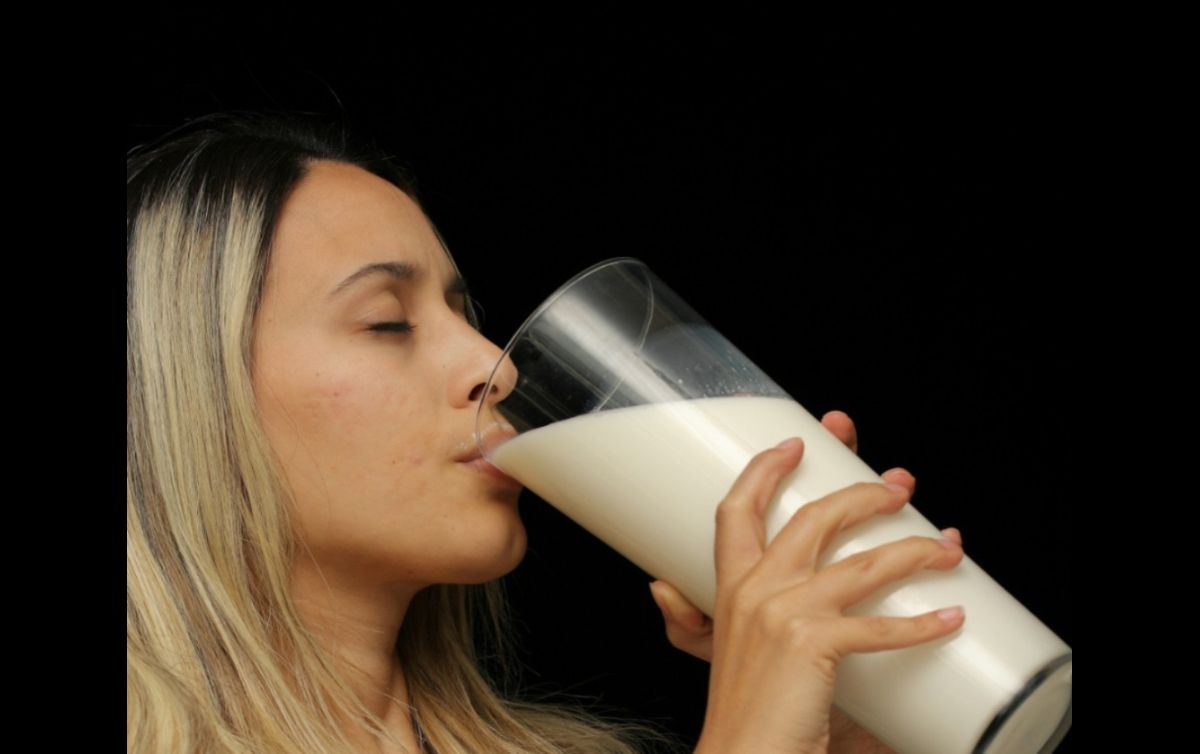 Salud: ¿Es recomendable beber leche en la adultez? Esto dice Harvard ...
