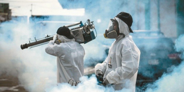 Salud: Mosco del dengue extiende su vida; llaman a prevenir | El Informador