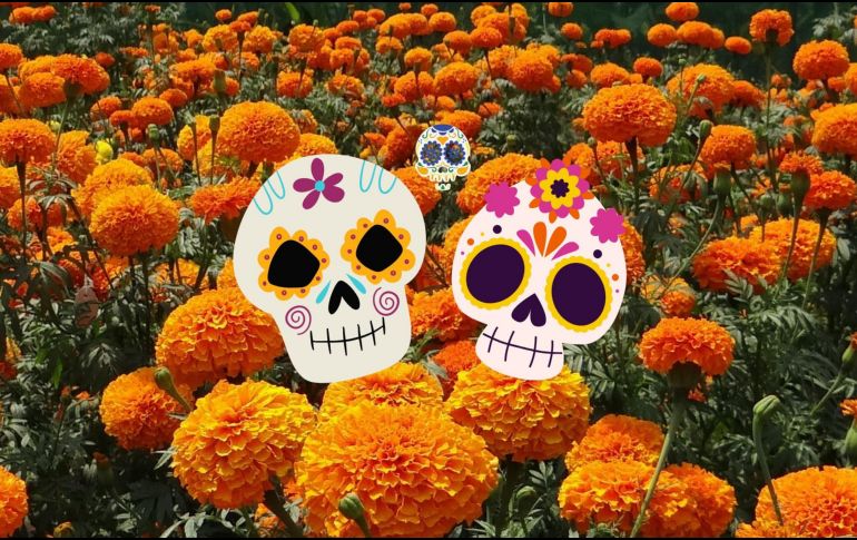Día de Muertos: Este es el significado del cempasúchil en las ofrendas ...