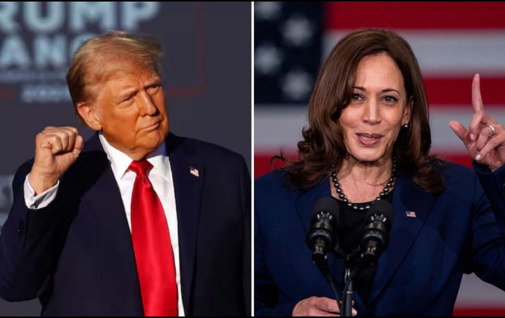 Elecciones USA 2024: ¿Qué pasará en el sector del automóvil si gana ...