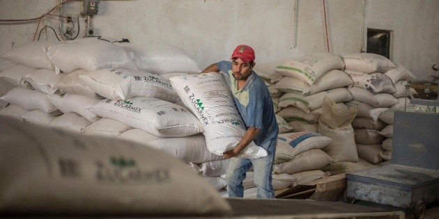 Precio del azúcar baja 15% por primera vez en 11 años | El Informador