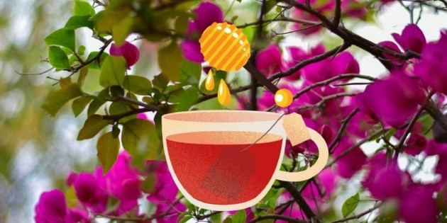 ¿Para qué sirve el té de bugambilia con miel? | El Informador