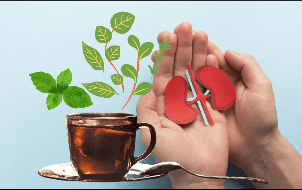 Estos son los mejores tés de hierbas para los riñones, y te explicamos ...