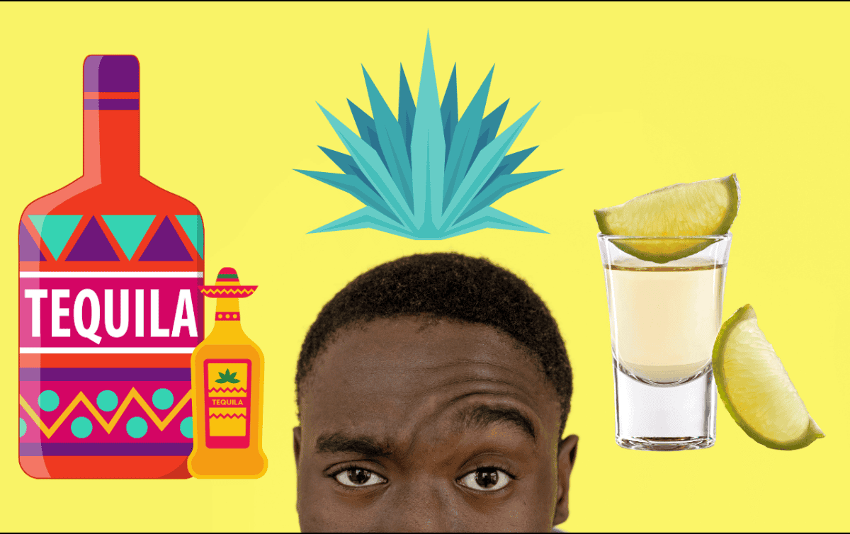 Los beneficios más importantes del tequila para la salud | El Informador