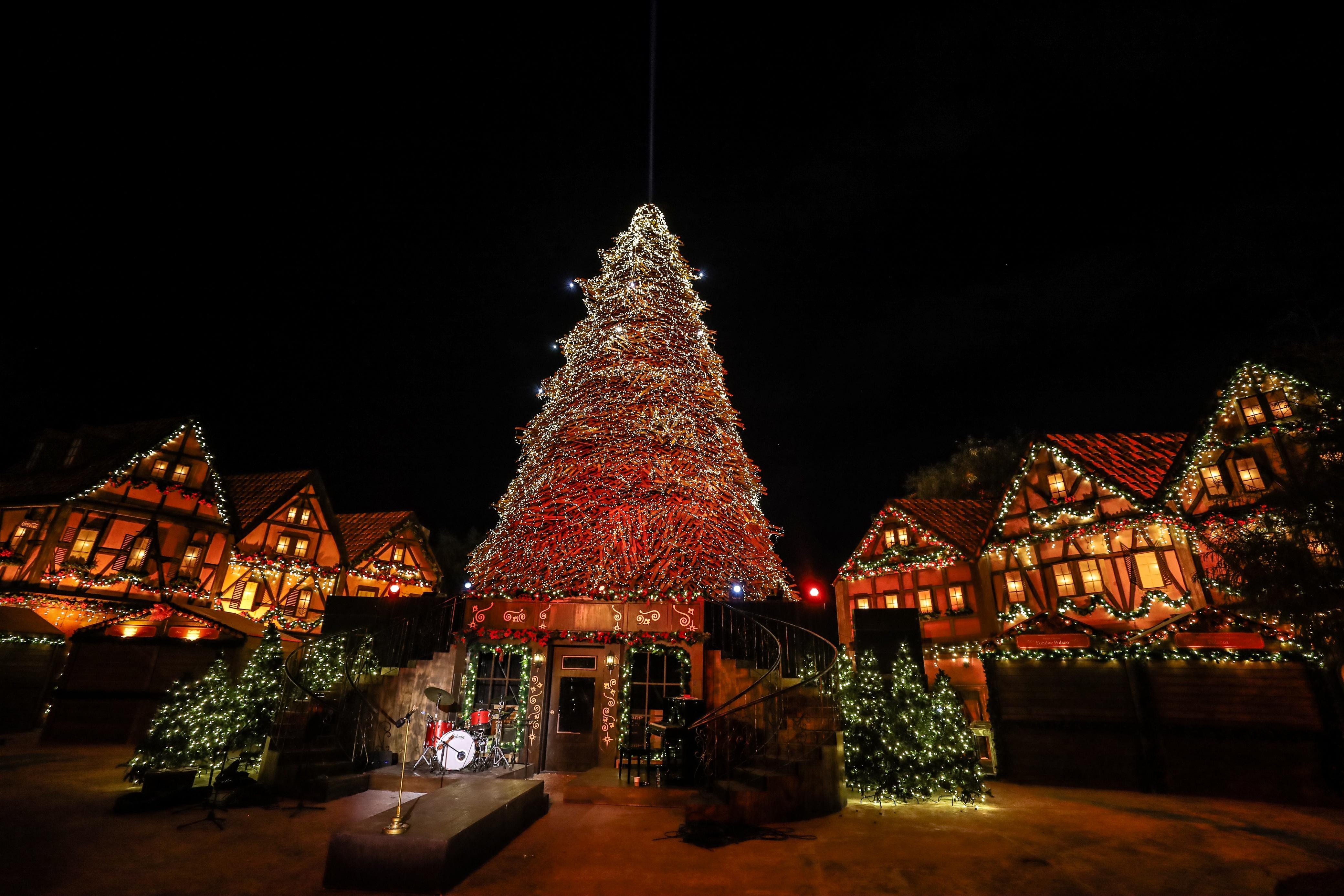 Navidalia 2024: El parque navideño celebra su quinto aniversario con ...