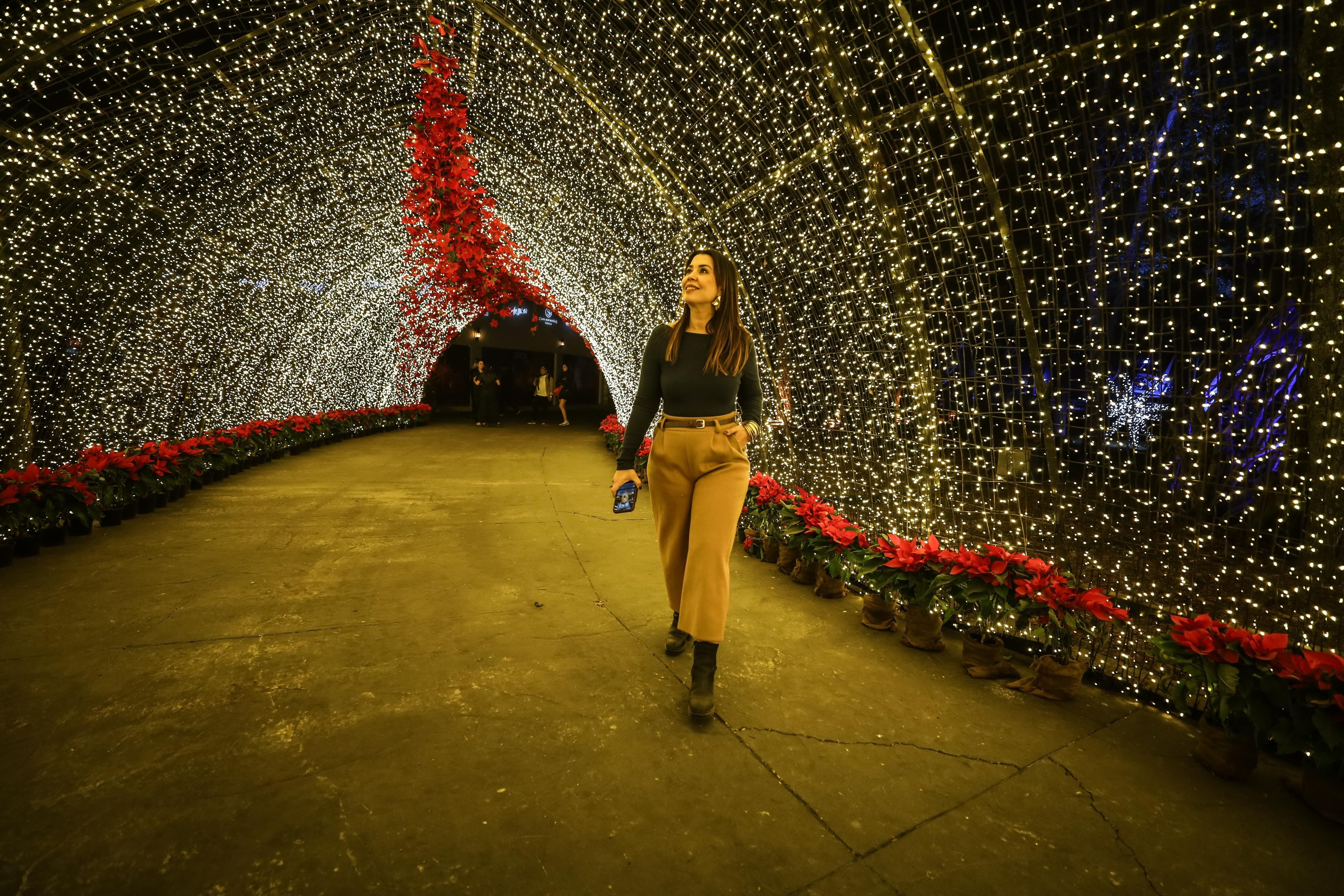 Navidalia 2024: El parque navideño celebra su quinto aniversario con ...