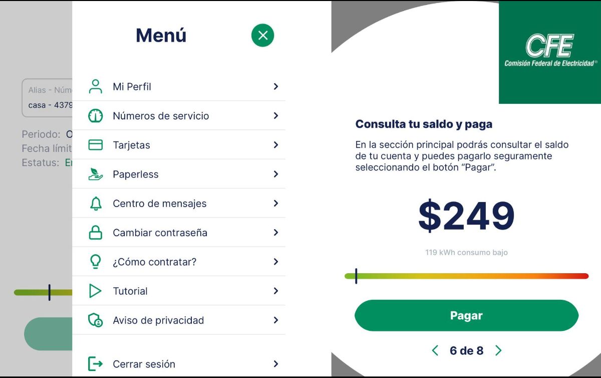 CFE: Estos son todos los trámites que puedes hacer en línea | El Informador
