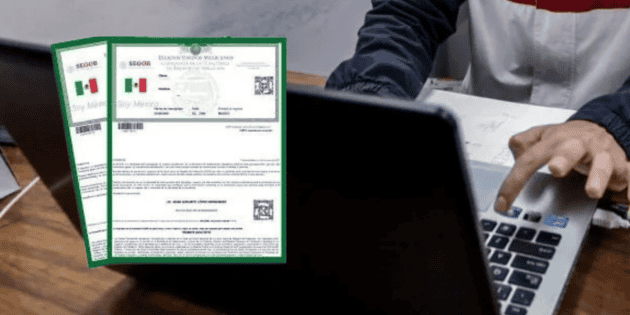 CURP 2025: Todo lo que debes saber | El Informador