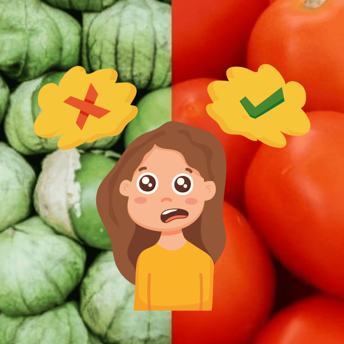 jitomates o tomates