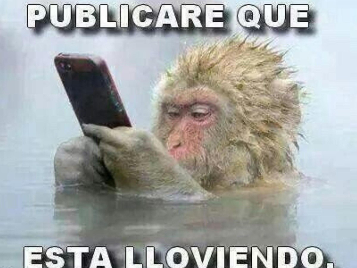 Memes Por Tanta Lluvia