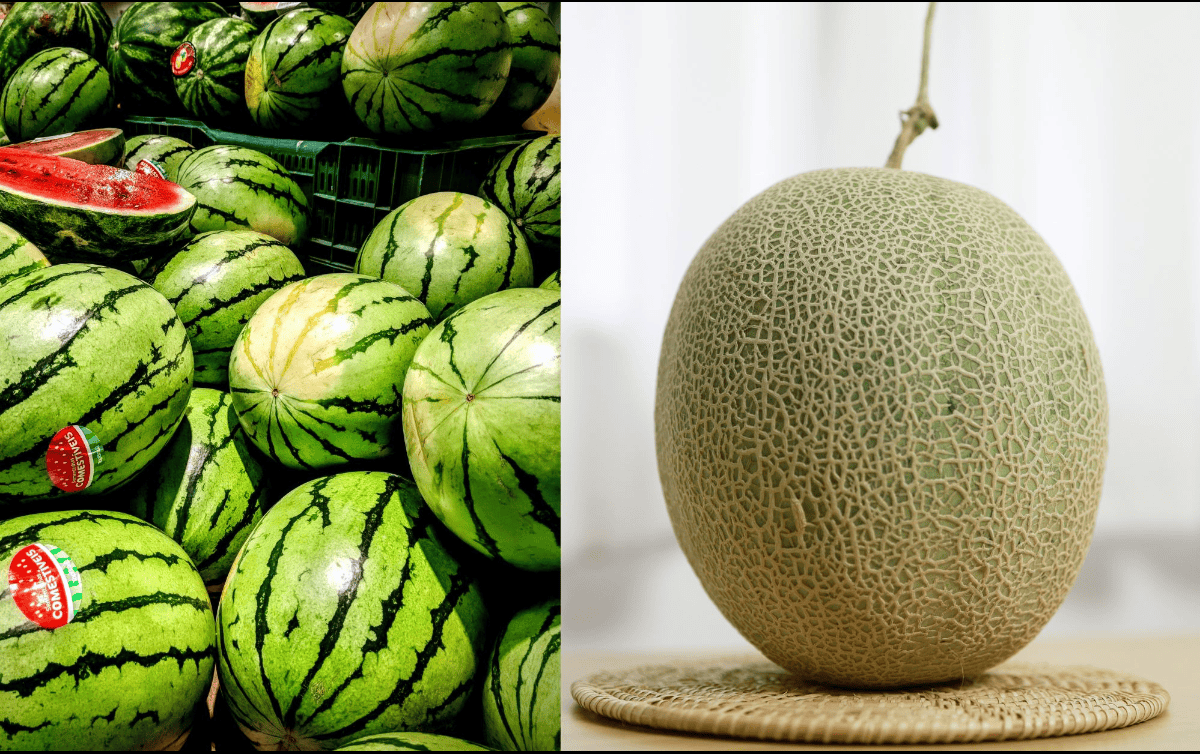 Salud: 5 medidas que debes tomar ANTES de consumir melón y sandía | El ...