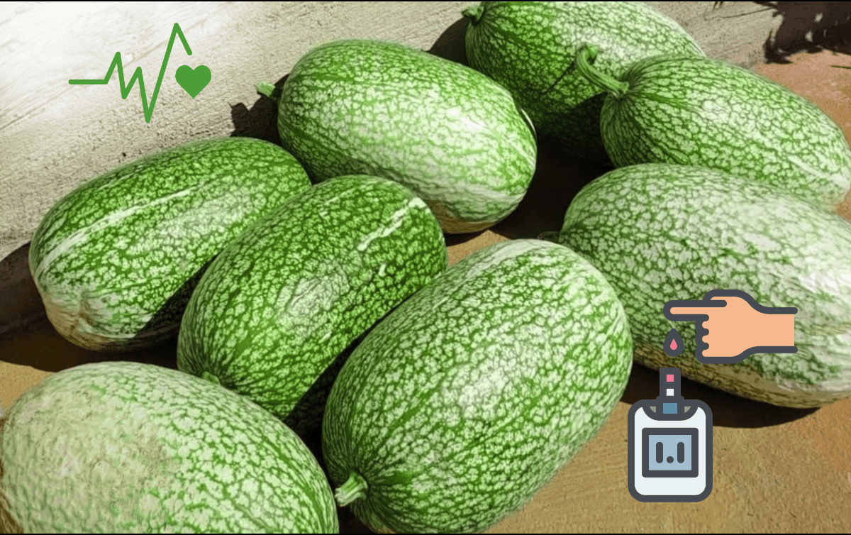 ¿Cómo comer el chilacayote para bajar el azúcar en la sangre? | El ...