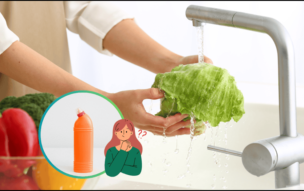 Este es el método correcto para desinfectar alimentos con cloro sin ...