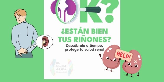 salud renal: UdeG crea test que evalúa tu salud con tan solo 10 ...