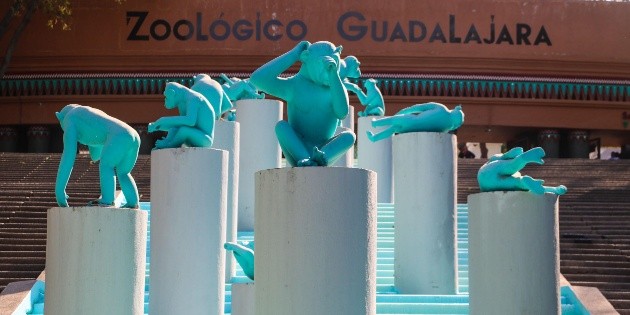 Por aniversario, Zoológico Guadalajara tendrá entradas a 37 pesos | El ...
