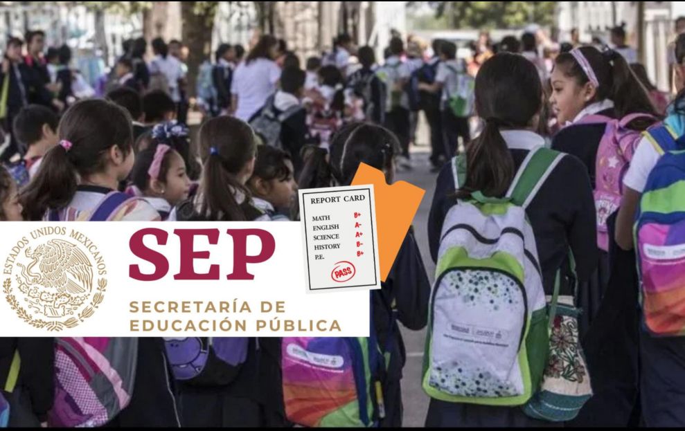 SEP: Cómo puedes consultar y descargar la boleta de calificaciones de ...