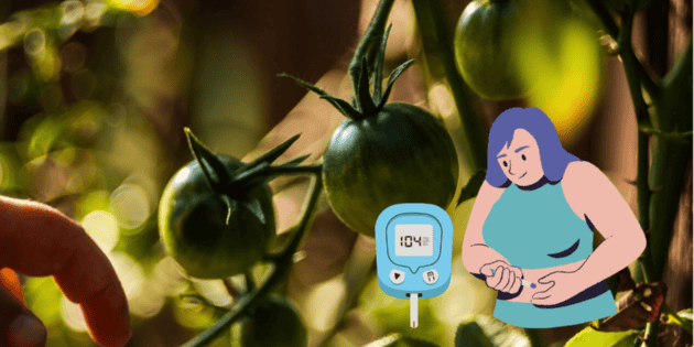 Esta es la verdura que ayuda a bajar los niveles de azúcar en la sangre ...