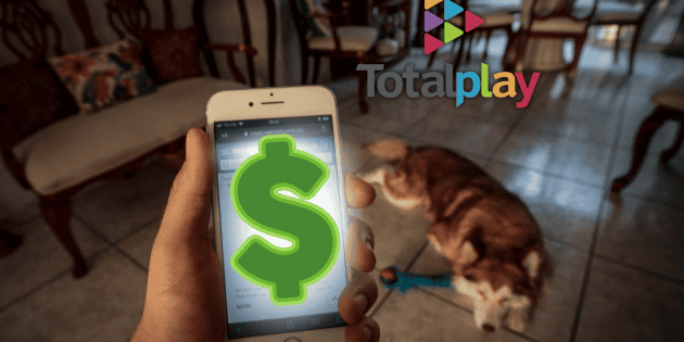 Totalplay: Así fue la llamada de la Profeco a la empresa; esto se ...