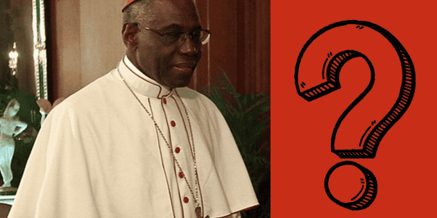 Robert Sarah: Quién es el prospecto a Papa que podría cumplir la ...