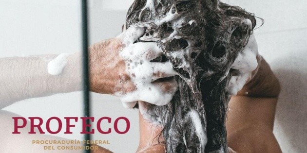 Profeco: Estas son las mejores marcas de shampoo en México, según el organismo público | El ...