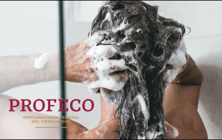 Profeco: Estas son las mejores marcas de shampoo en México, según el organismo público | El ...