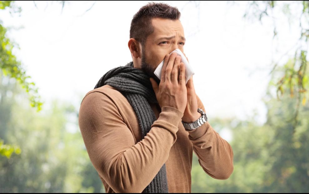 Fiebre del heno: Qué es y cómo la puedes controlar esta temporada | El Informador