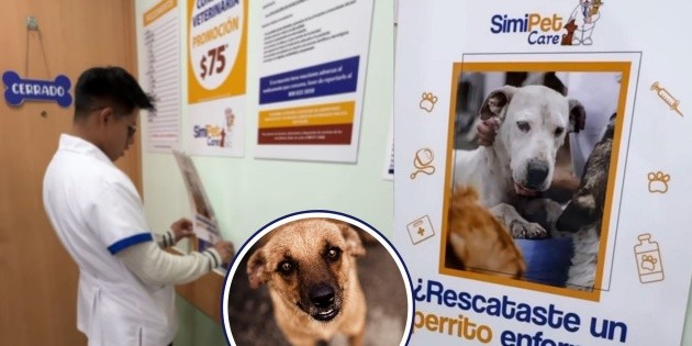 SimiPet care: Veterinaria del Dr. Simi ofrece ayuda gratuita a perros ...