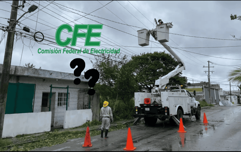 CFE: ¿Qué hago si quiero podar un árbol para liberar el cable que va ...