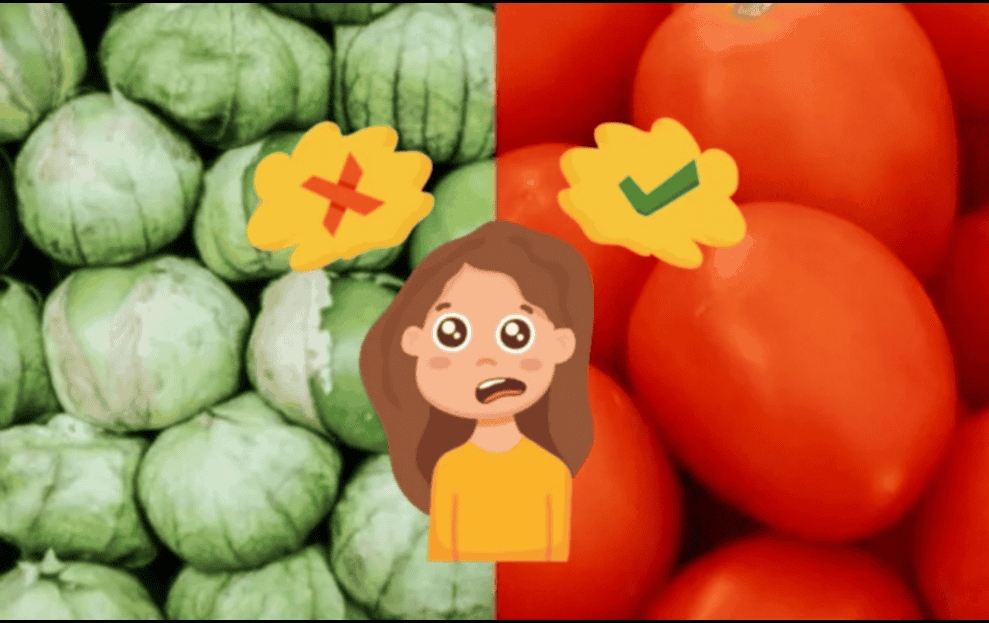 ¿Tomate o jitomate? Conoce las diferencias | El Informador