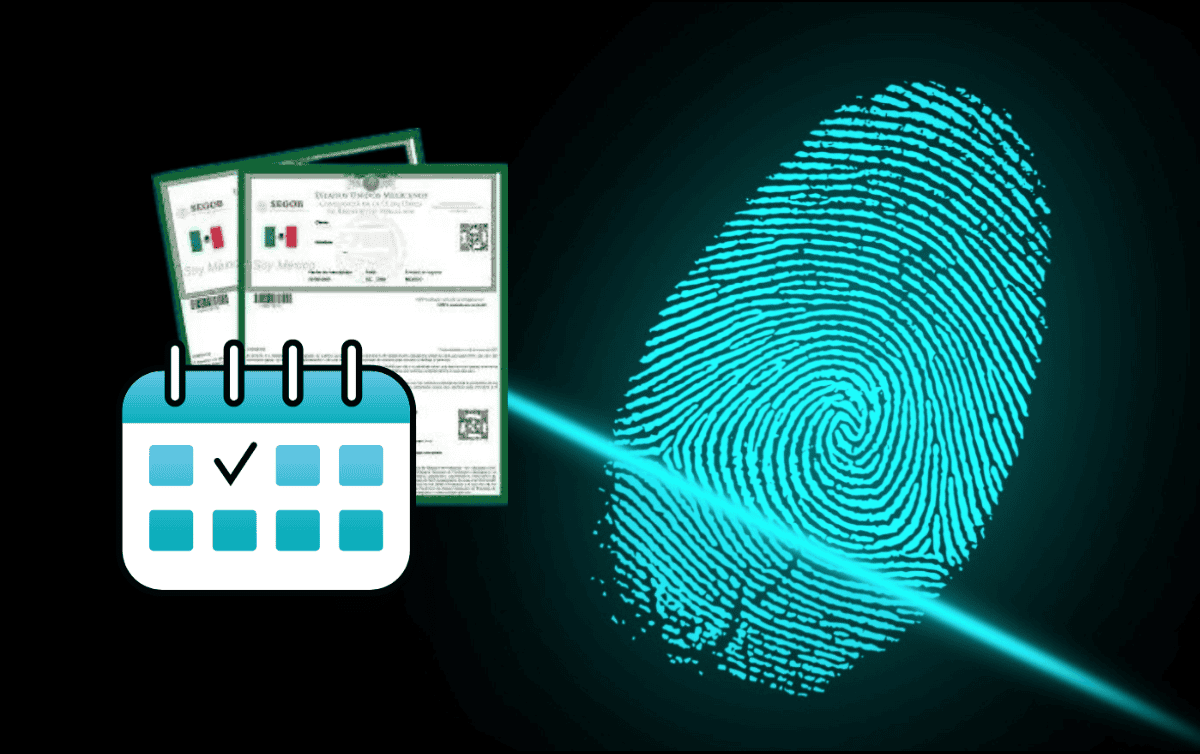 ¿Cuándo entra en vigor la CURP biométrica según el DOF? | El Informador