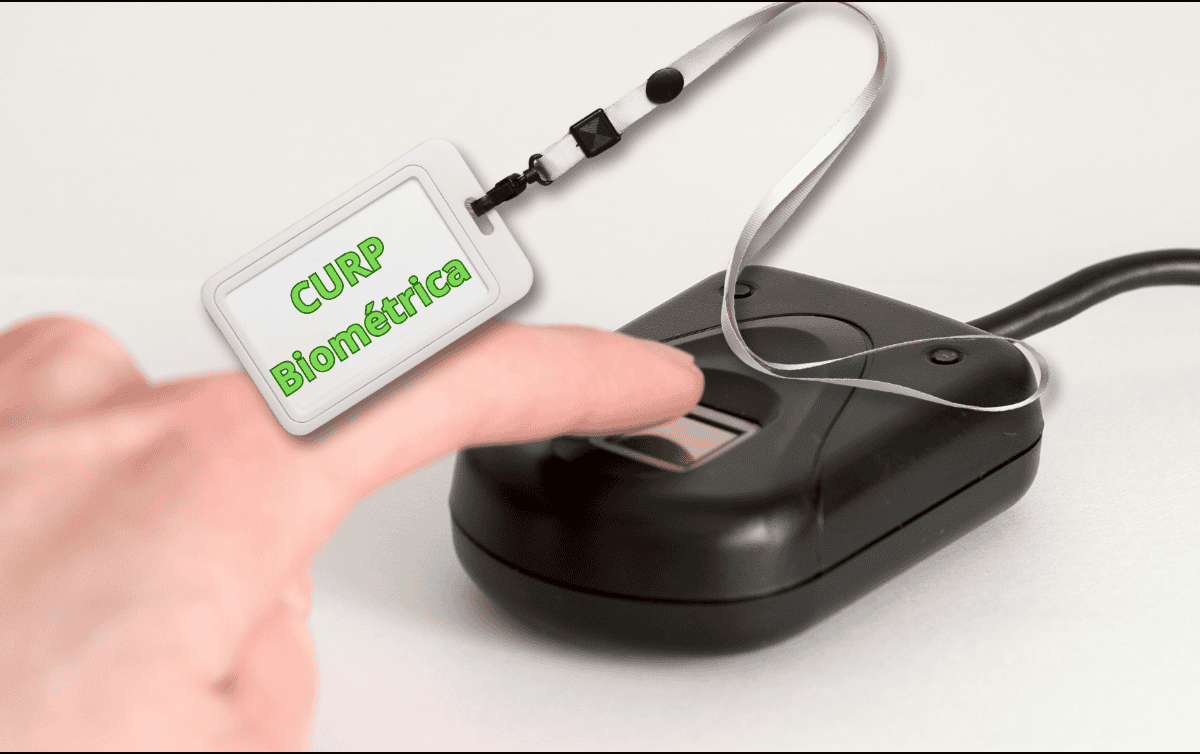 CURP biométrica: ¿Cuántos datos biométricos de mexicanos tiene registrados el Gobierno federal ...