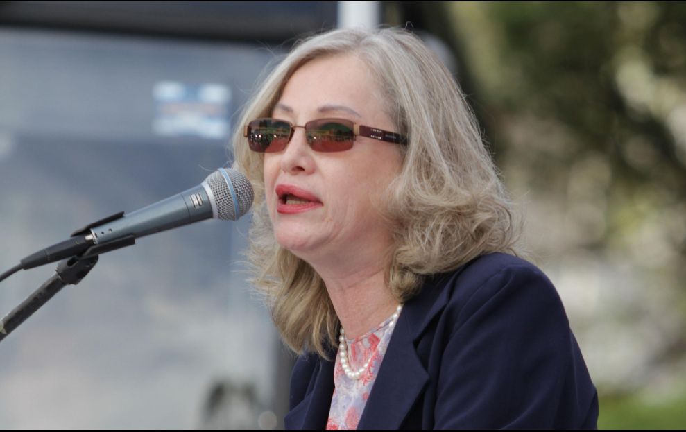 Laura Itzel Castillo releva a Noroña en el Senado; esta es su ...