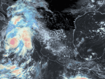 Viral: Multitud se reúne afuera del local de "Lady Elotes" para darle ...