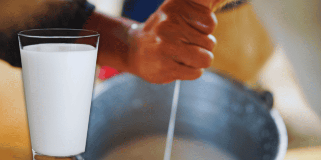Leche bronca en México: ¿Nutritiva o peligrosa? La verdad médica | El ...