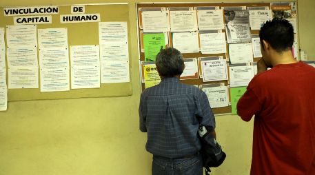 Empleo. Últimas noticias de Empleo | El Informador
