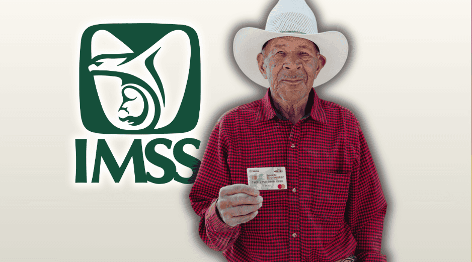 IMSS. Últimas noticias de IMSS | El Informador