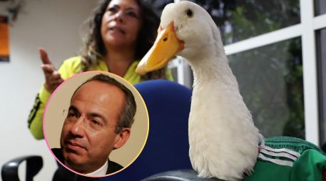 Felipe Calderón. Últimas noticias de Felipe Calderón | El Informador