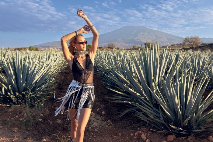 Akamba 2024: Todo lo que debes saber sobre el festival musical en Tequila | El Informador