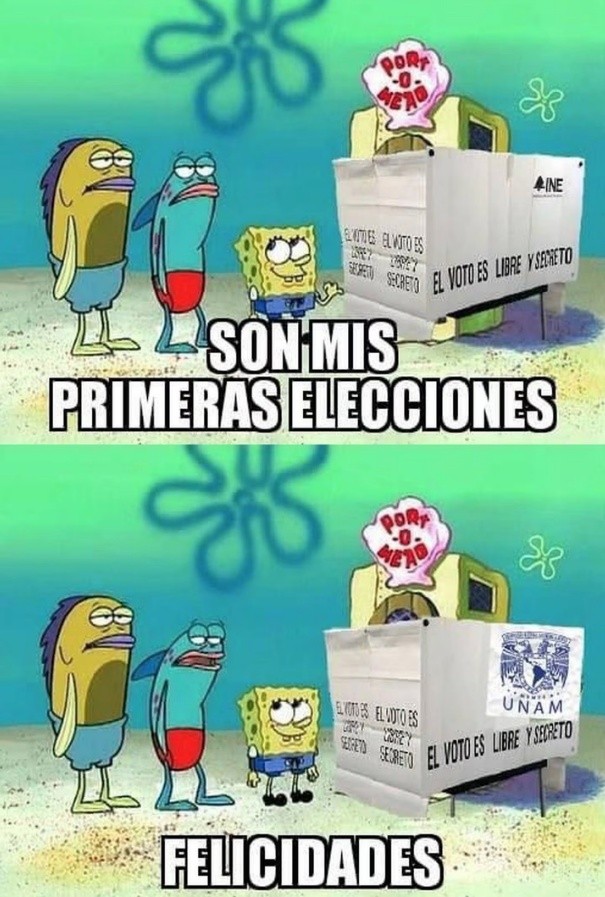 Elecciones 2024: Estos son los mejores memes que han dejado las ...