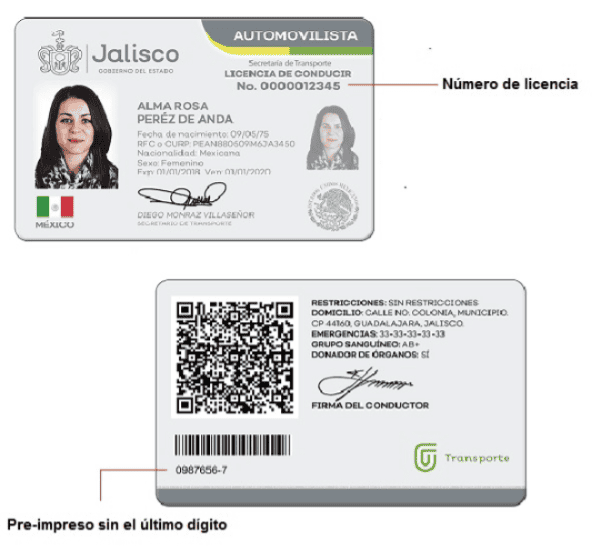 Licencia De Conducir Vigente